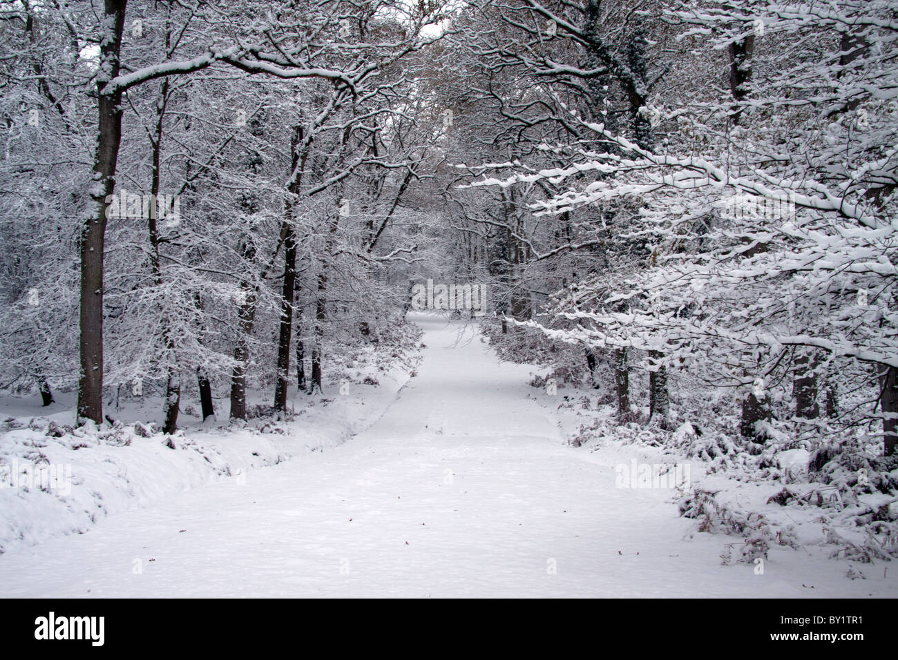 Snowfall in hampshire hi-res stock photography and images - Alamy