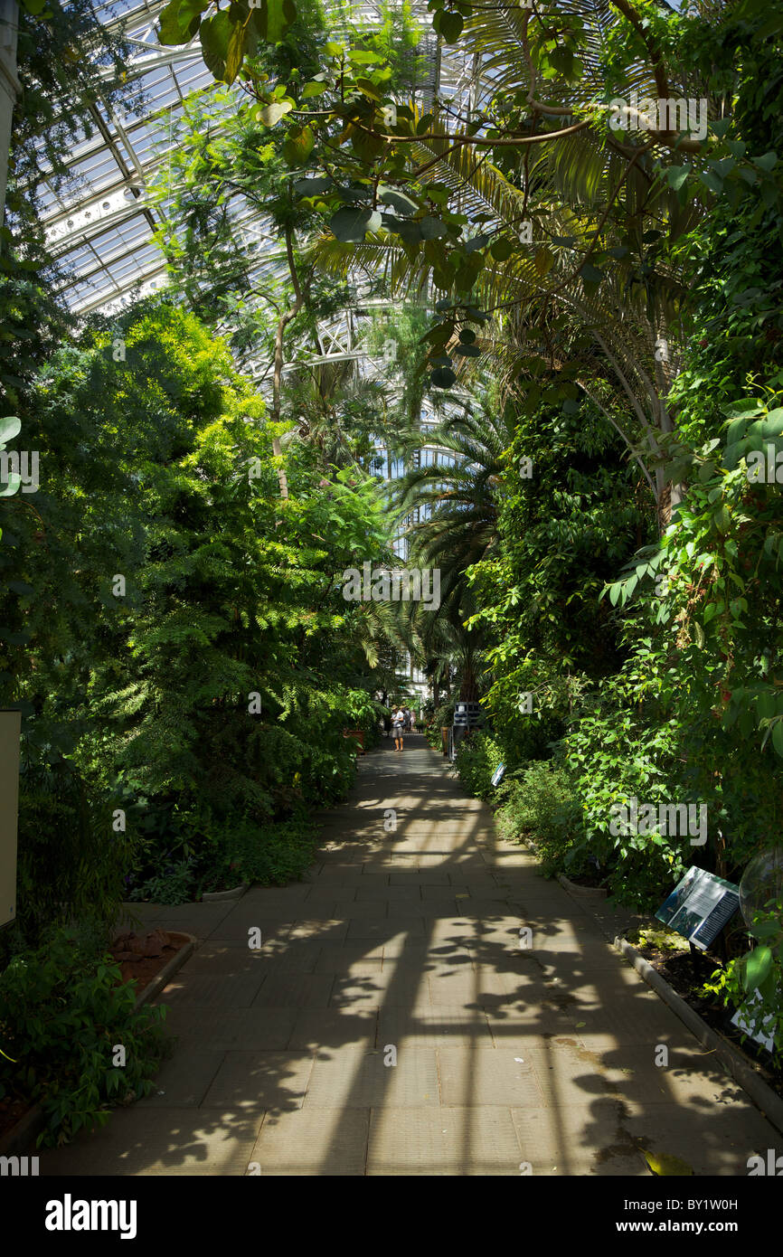 Inside a conservatory at Kew gardens London Stock Photo - Alamy