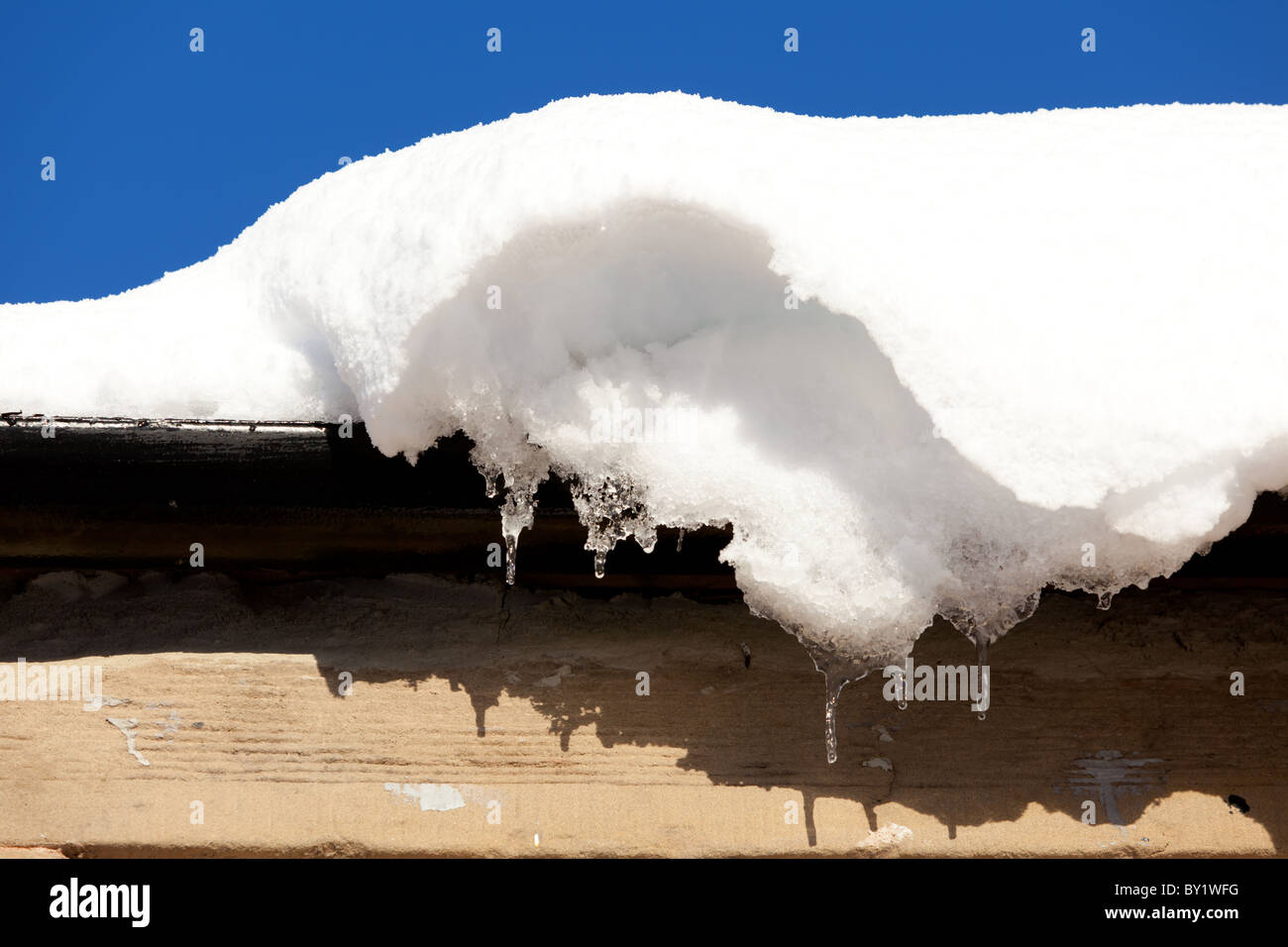 Thick snow on a roof and hanging over a gutter in the Scottish Borders ...