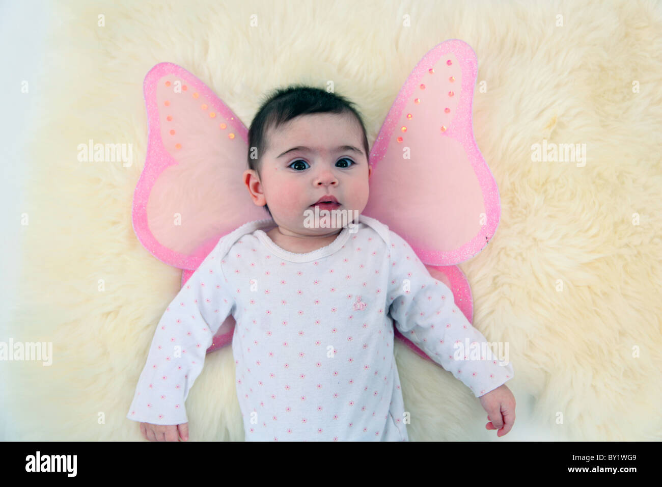 Cute baby with fairy wings Stock Photo - Alamy