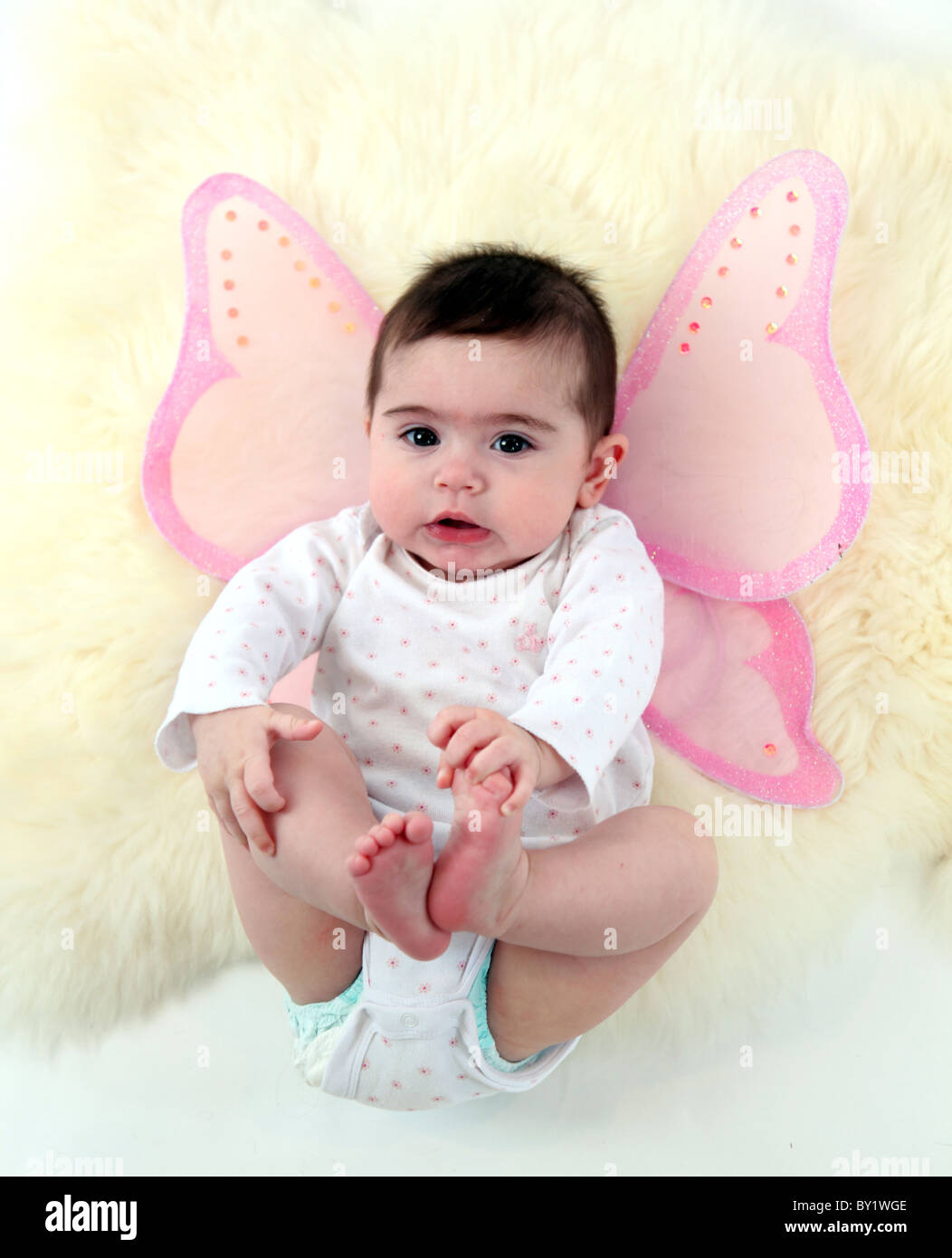 Cute baby with fairy wings Stock Photo - Alamy