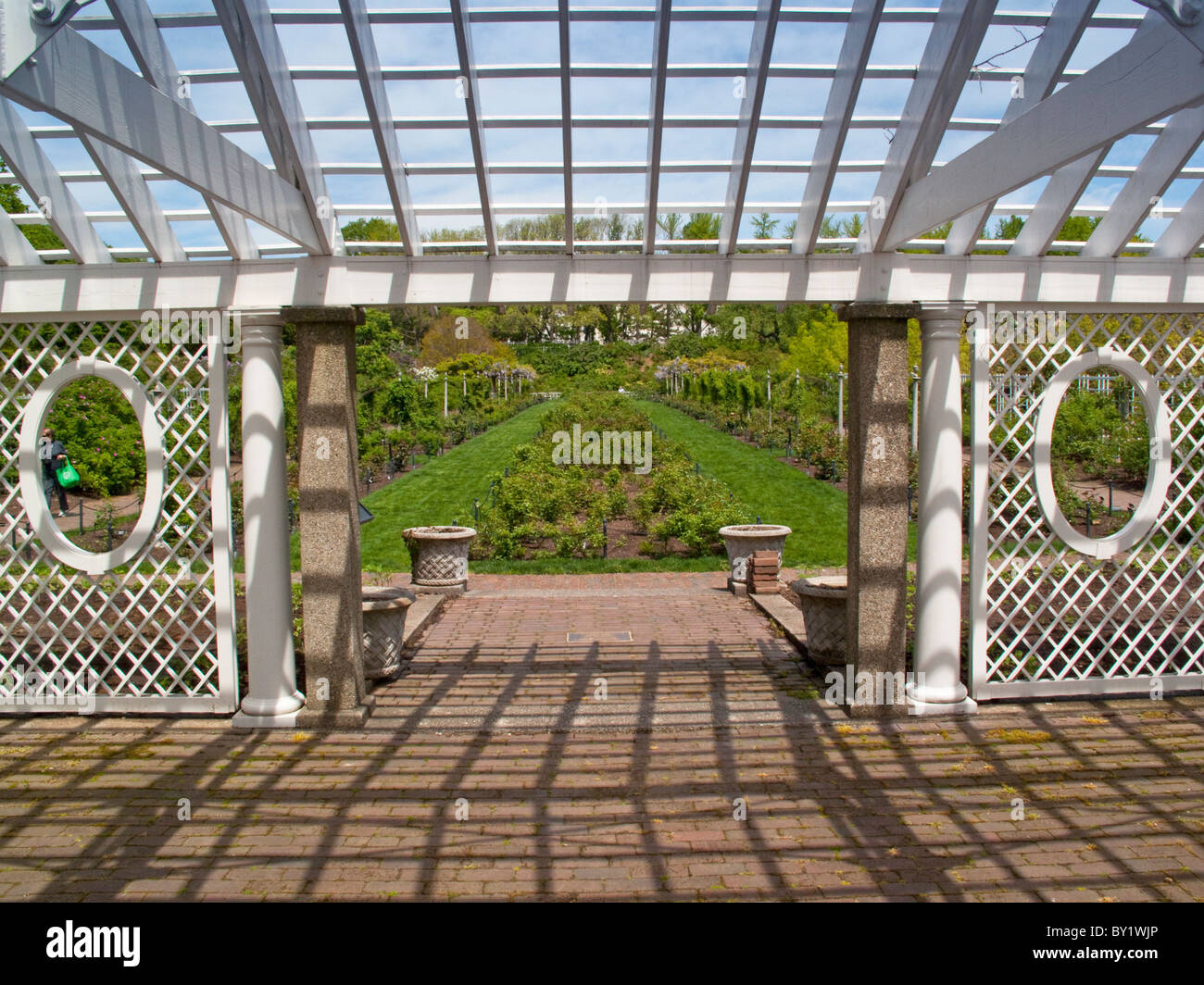 Cranford Rose garden Brooklyn Botanic Garden Stock Photo - Alamy