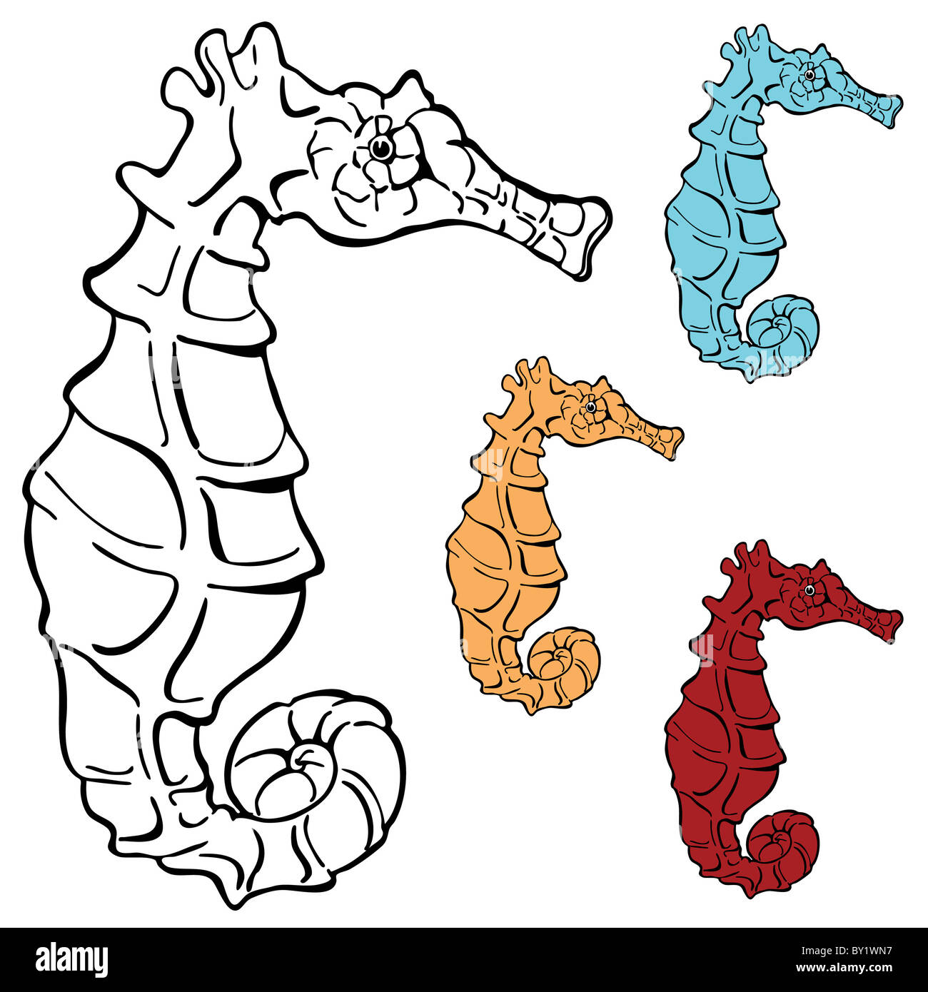 An image of a seahorse Stock Photo - Alamy