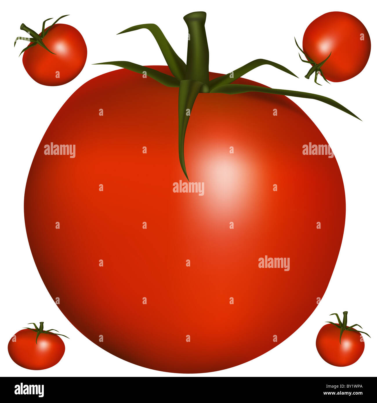 An image of a realistic tomato Stock Photo - Alamy