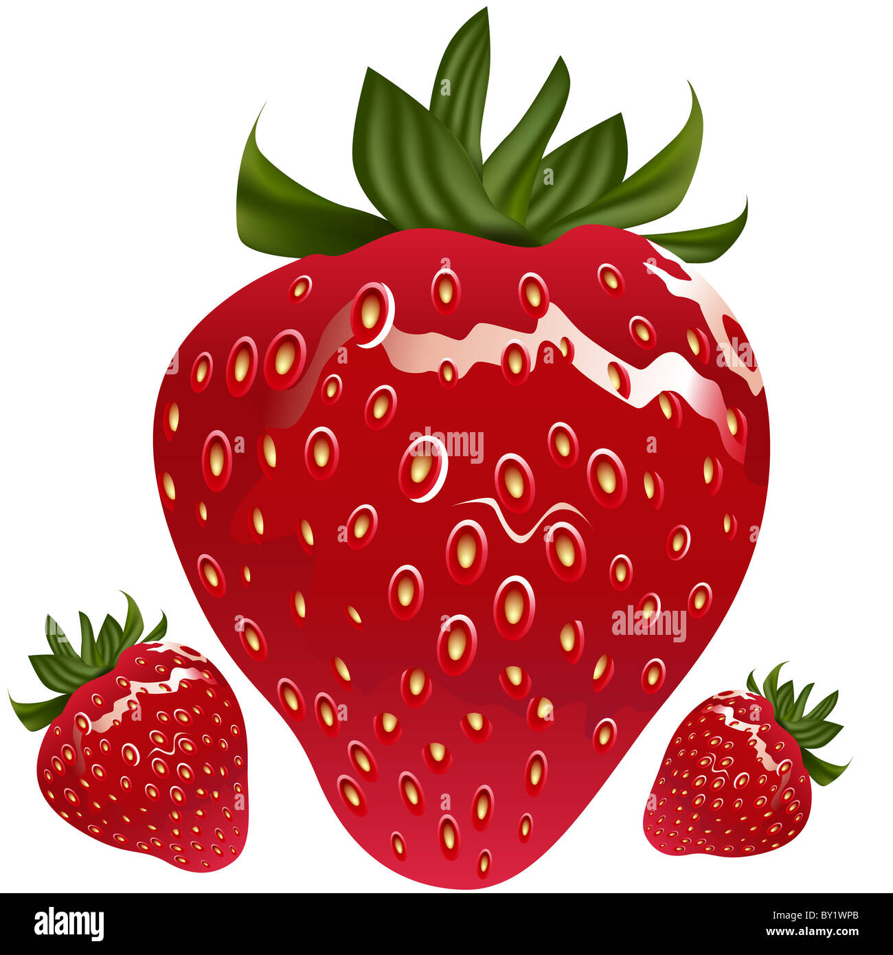 An image of a realistic strawberry Stock Photo - Alamy