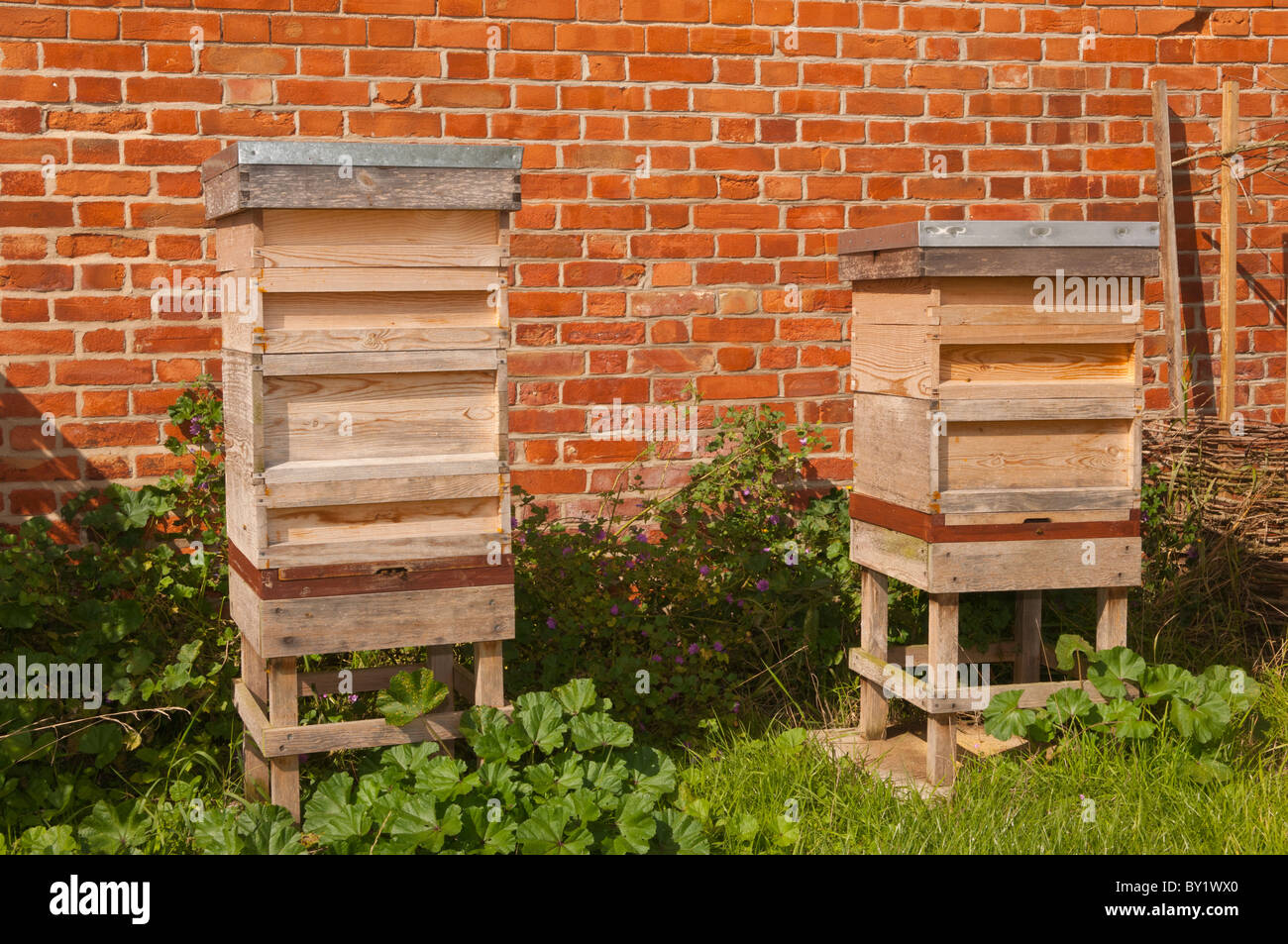 Beehive uk hi-res stock photography and images - Alamy