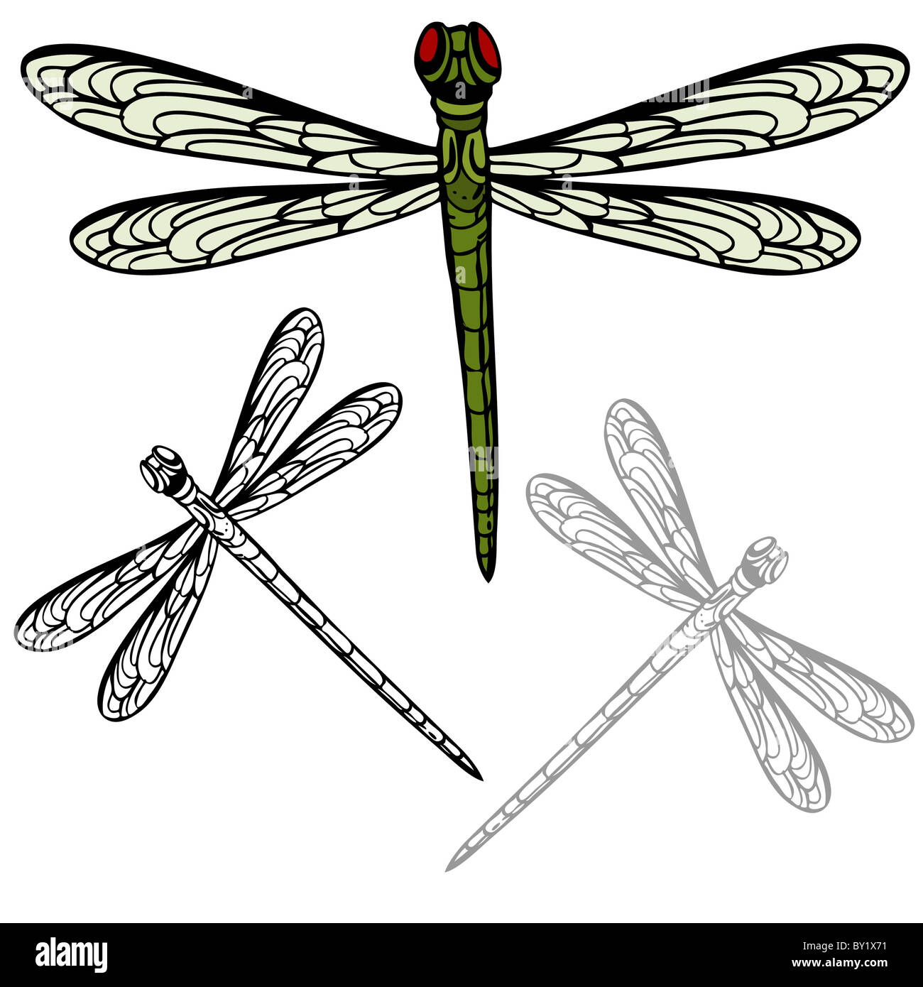 An image of a realistic dragonfly Stock Photo - Alamy