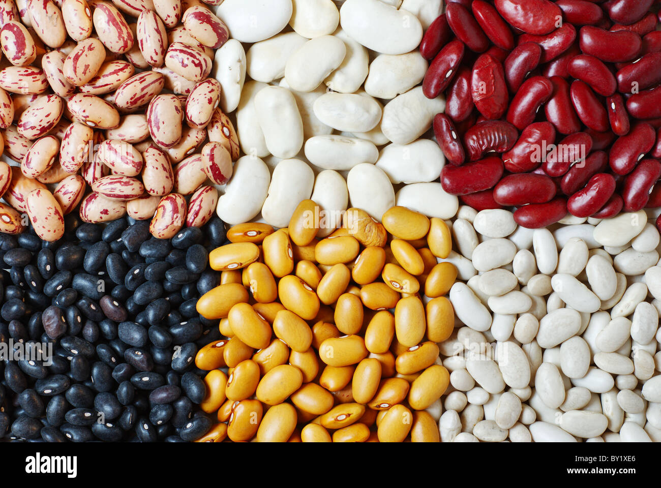Mixture of six diferent type of colorful beans Stock Photo - Alamy