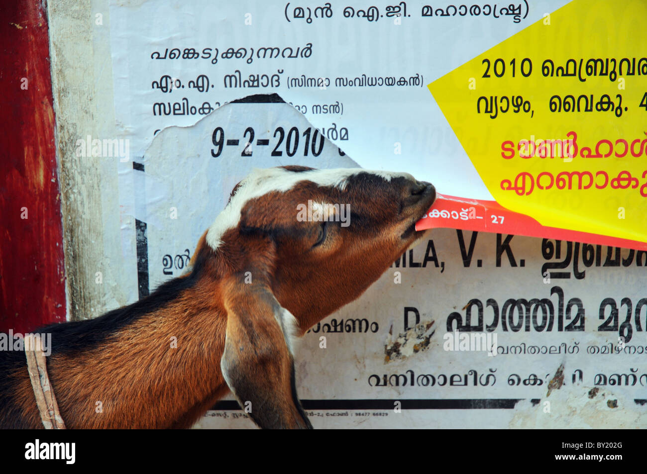 Humor poster hi-res stock photography and images - Alamy