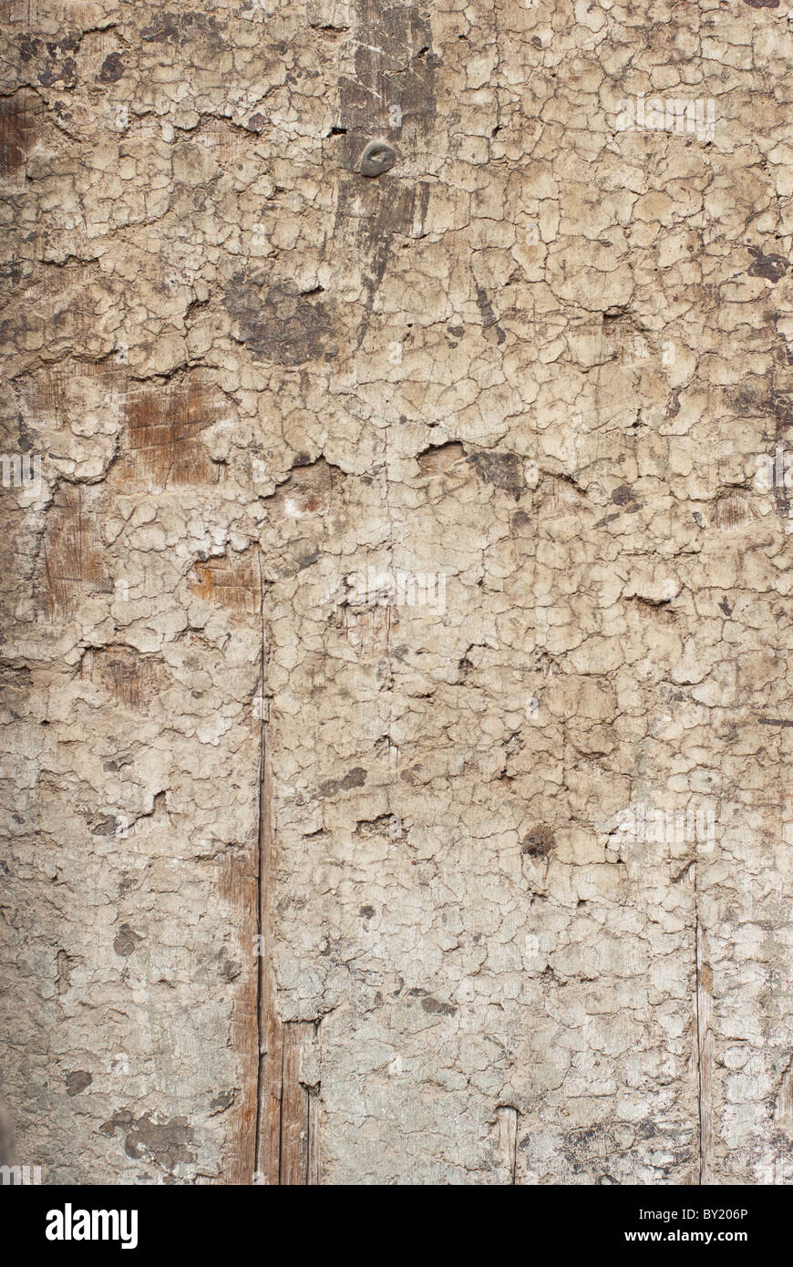 detail of a wooden door with peeling off lacquer paint Stock Photo - Alamy