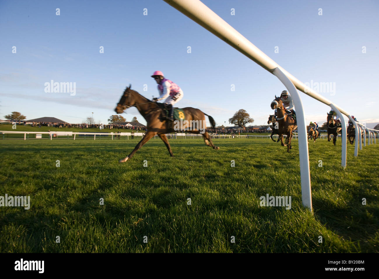 Bangor on dee racecourse hi-res stock photography and images - Alamy
