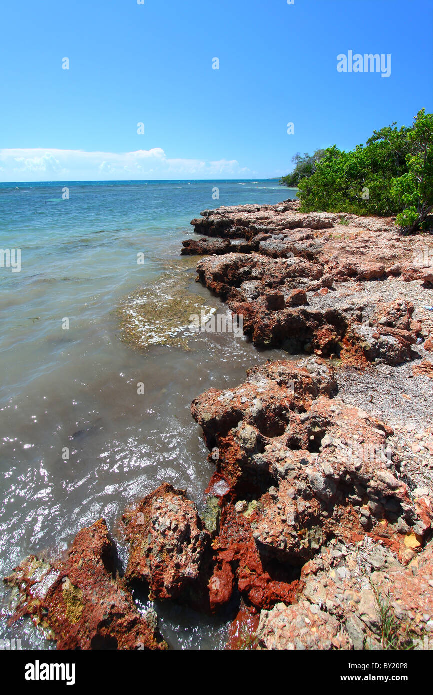 Guanica Reserve - Puerto Rico Stock Photo - Alamy