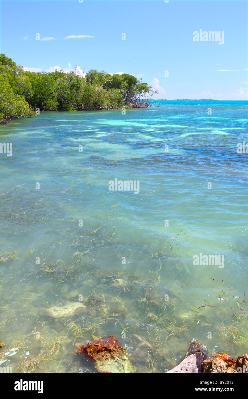 Guanica, puerto rico hi-res stock photography and images - Alamy