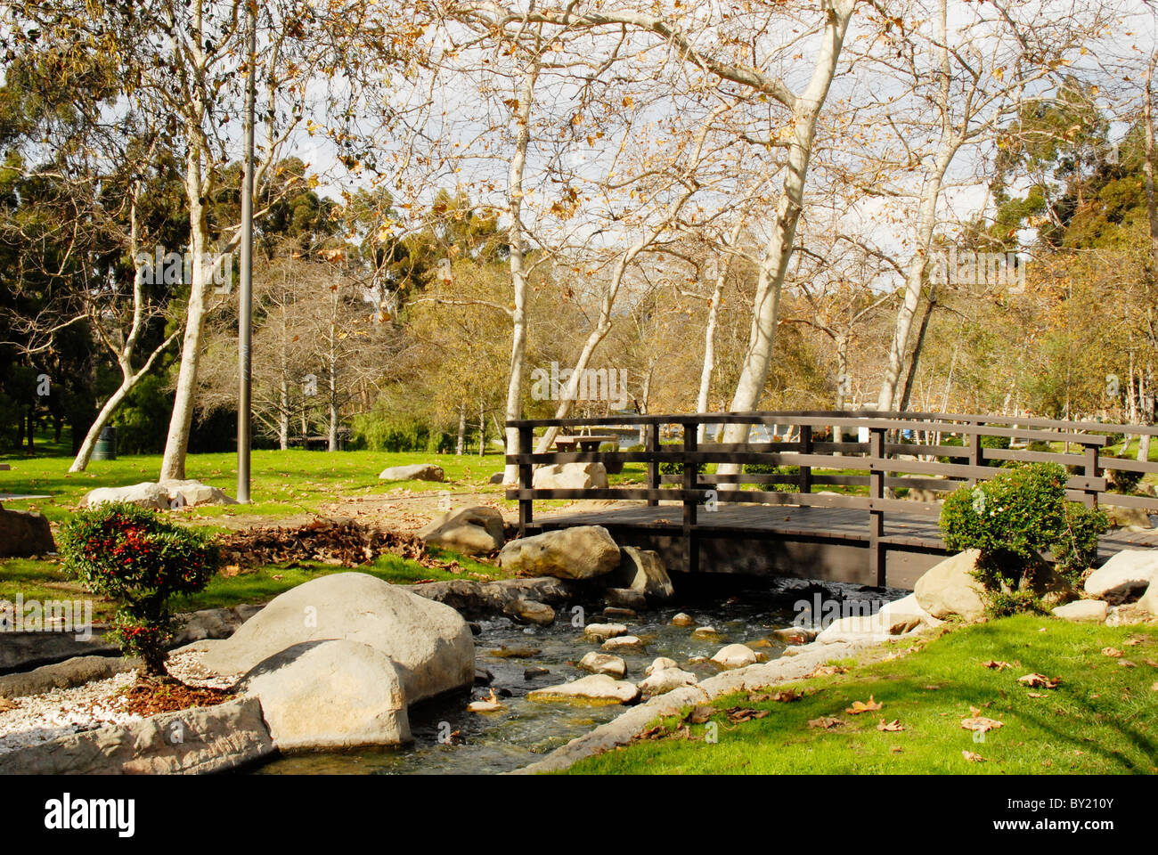 GREEN PARQUE VERDE ZACATE PASTO PUENTE ARBOLES RIO AGUA PAZ TRANQUILO ...