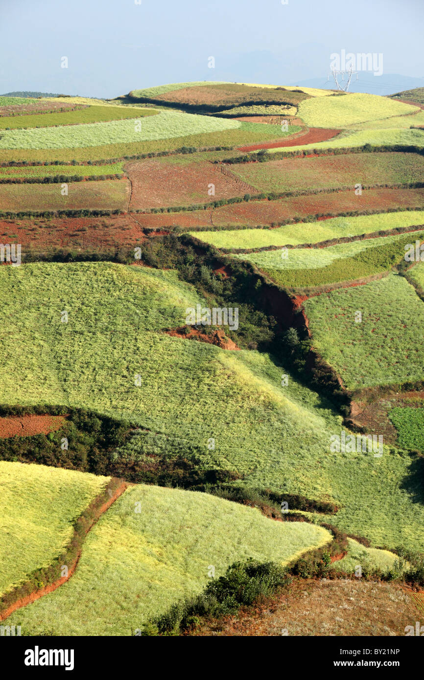 Red Land Soil, Dongchuan, Yunnan Province, China Stock Photo - Alamy