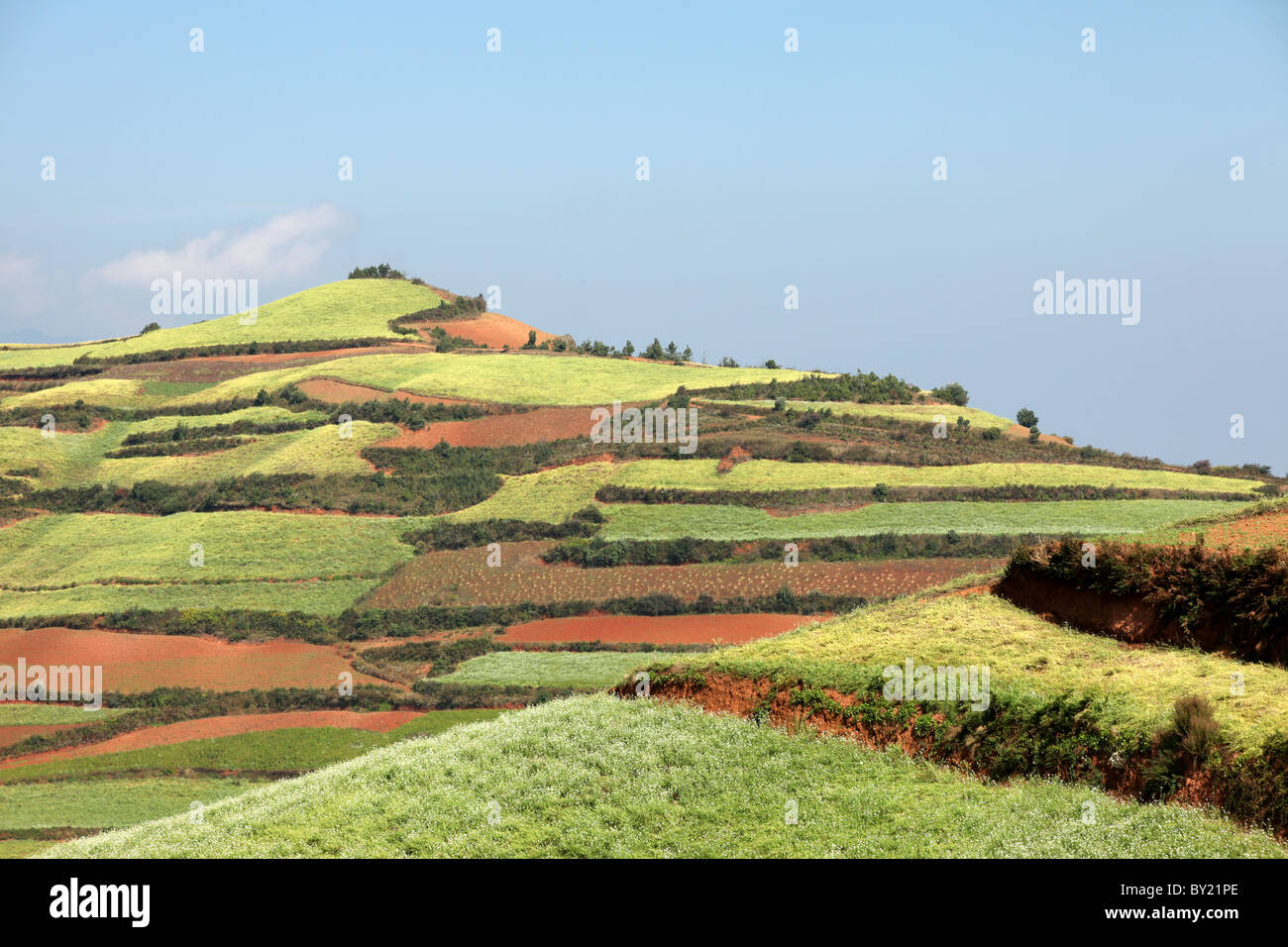 Red Land Soil, Dongchuan, Yunnan Province, China Stock Photo - Alamy