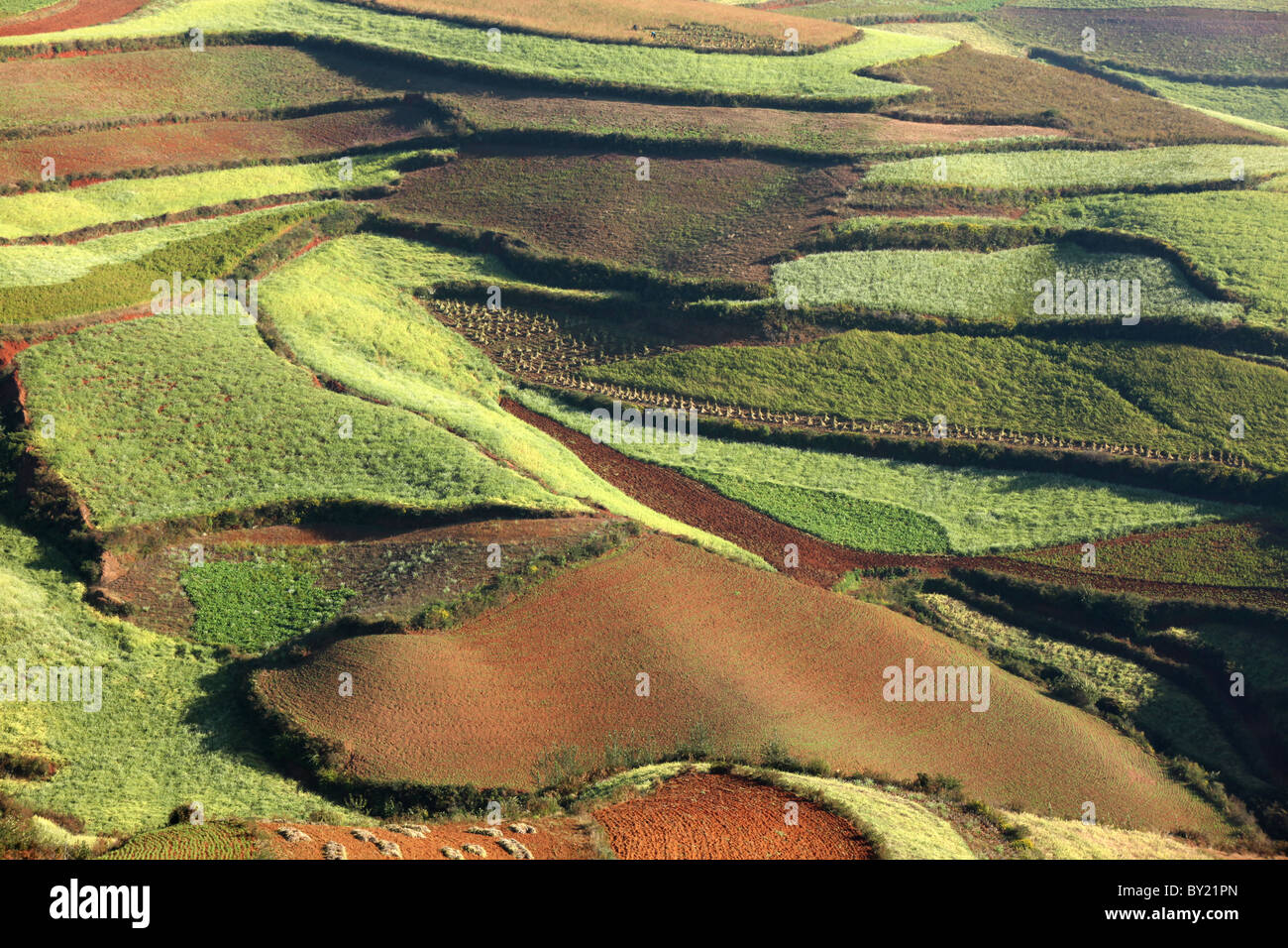Red Land Soil, Dongchuan, Yunnan Province, China Stock Photo - Alamy