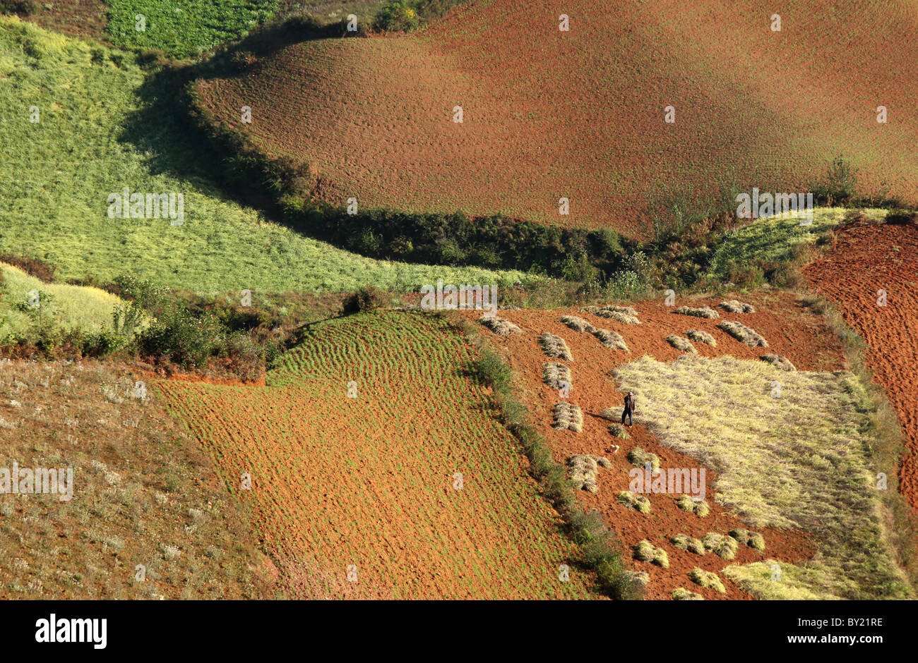 Red Land Soil, Dongchuan, Yunnan Province, China Stock Photo - Alamy
