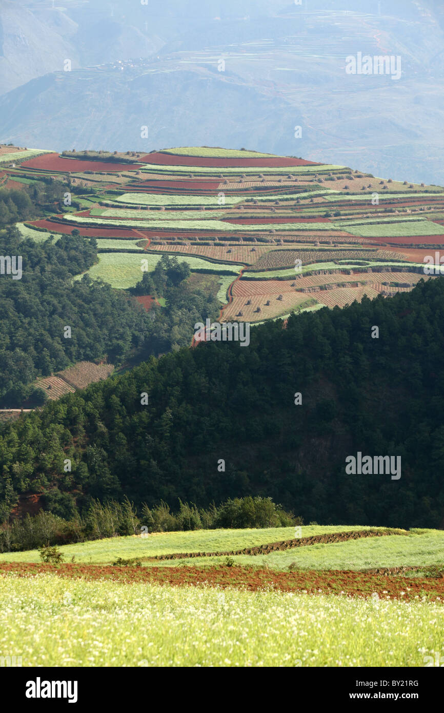 Red Land Soil, Dongchuan, Yunnan Province, China Stock Photo - Alamy