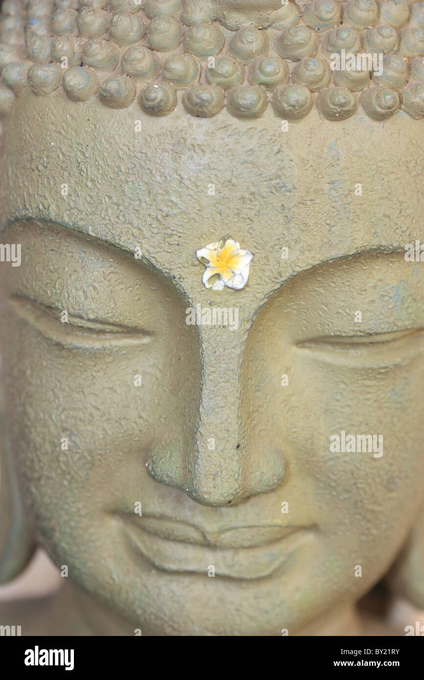 Bda icon hi-res stock photography and images - Alamy