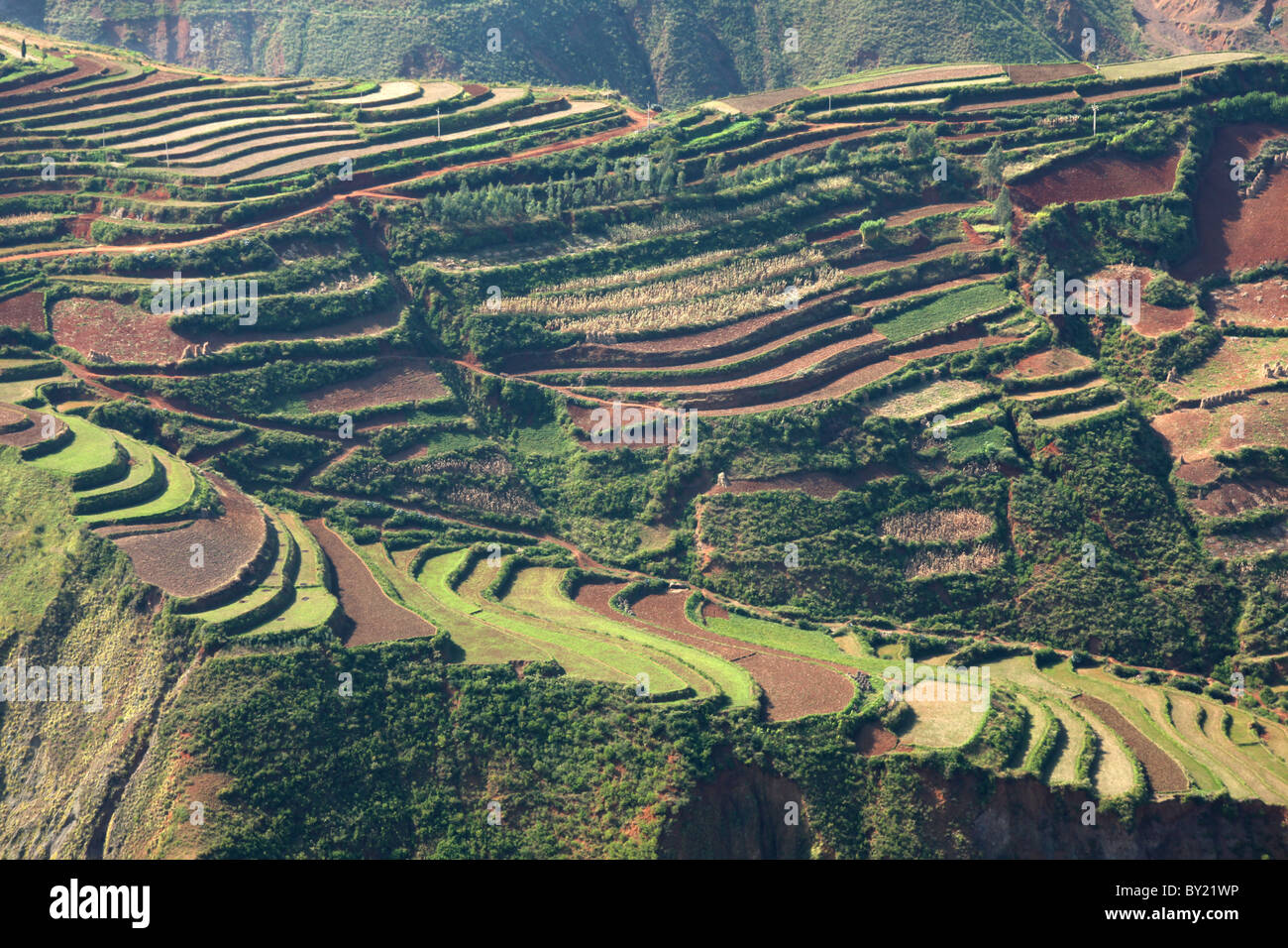 Red Land Soil, Dongchuan, Yunnan Province, China Stock Photo - Alamy