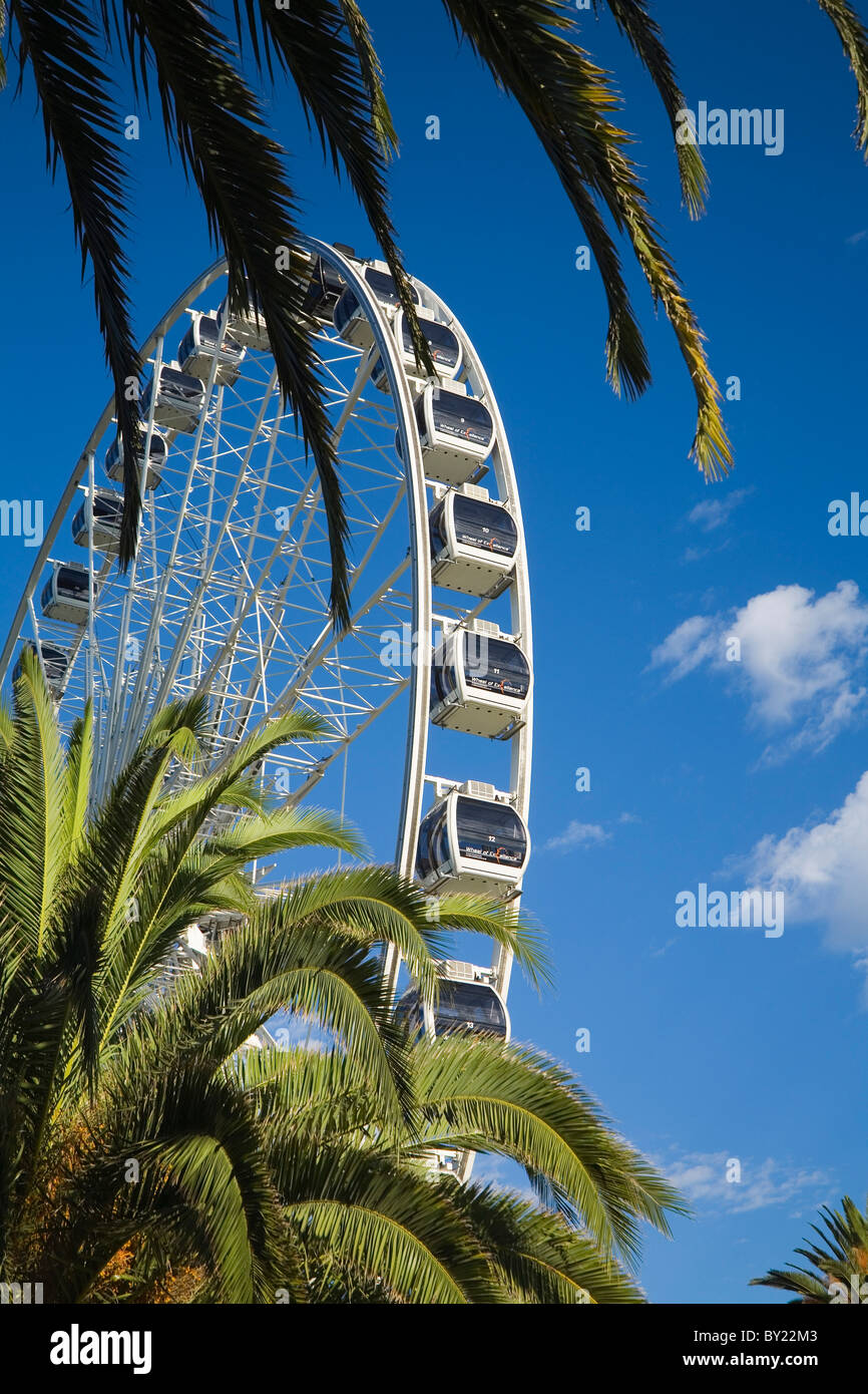 Australia, Western Australia, Perth. The 50 metre high Wheel of Perth ...