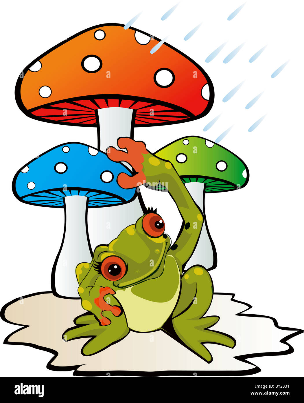 Mushroom and toad Stock Photo - Alamy
