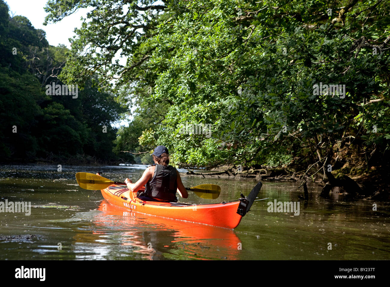 England, Cornwall, Helston, French Lieutenant Creek. Kayaking up the ...