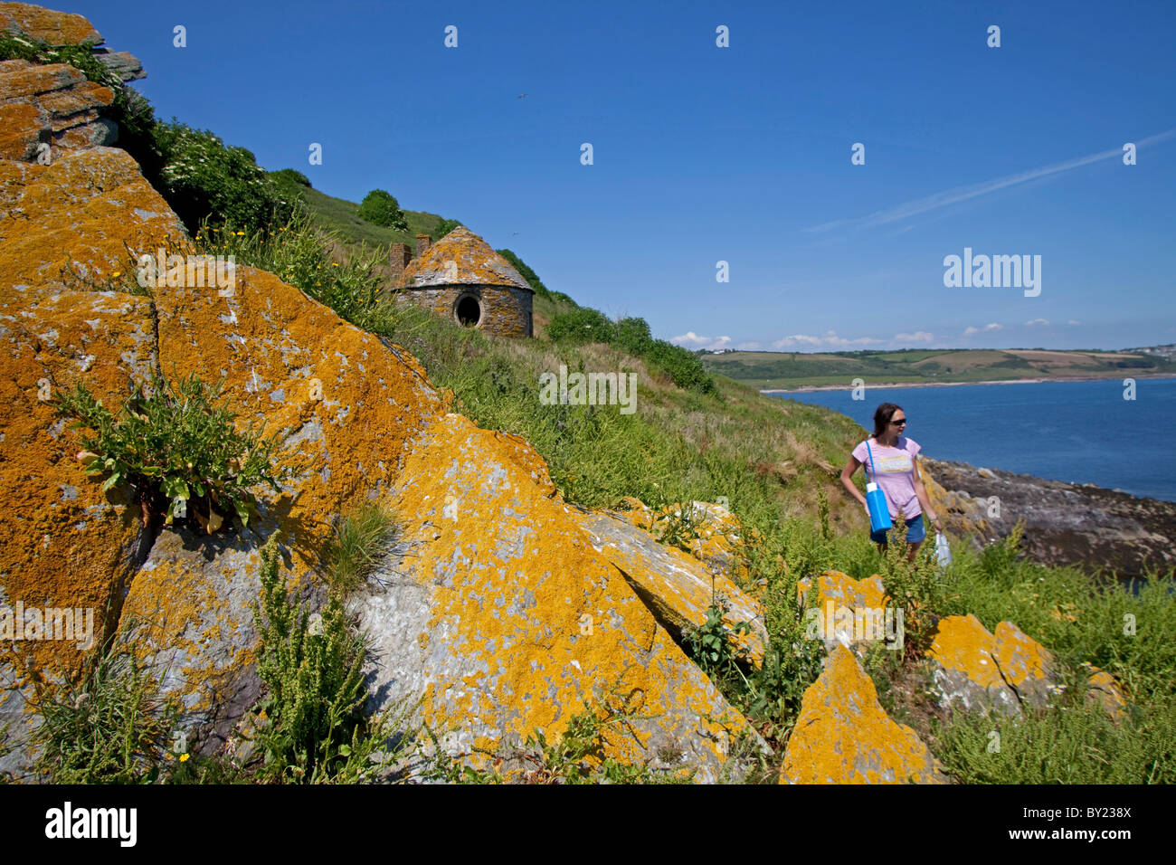 England, Devon, Wembury, Mew Stone island. The Mew Stone Island off the ...
