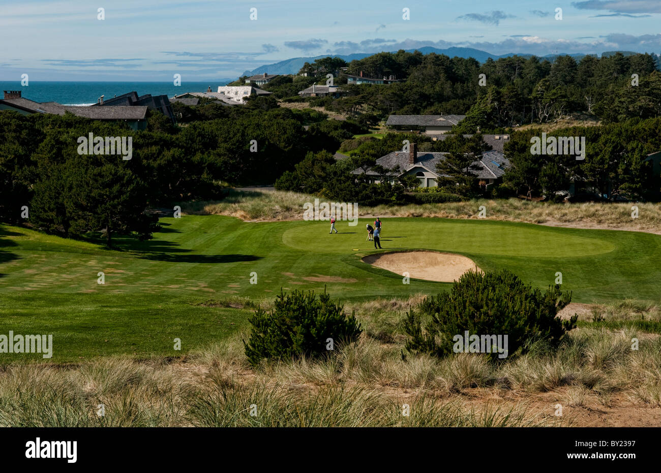 Salishan beach hi-res stock photography and images - Alamy
