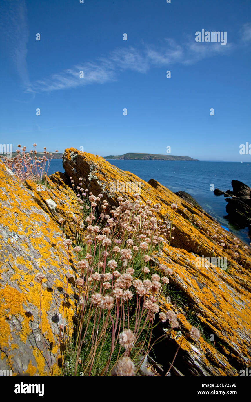England, Devon, Wembury, Mew Stone island. The Mew Stone Island off the ...