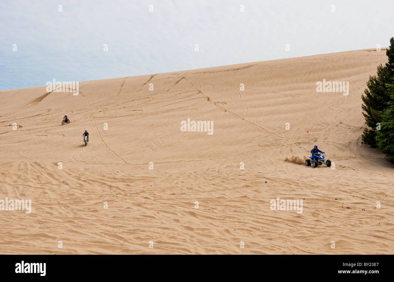 Teens riding dirt bikes all over the massive sand dunes in Oregon Dunes ...