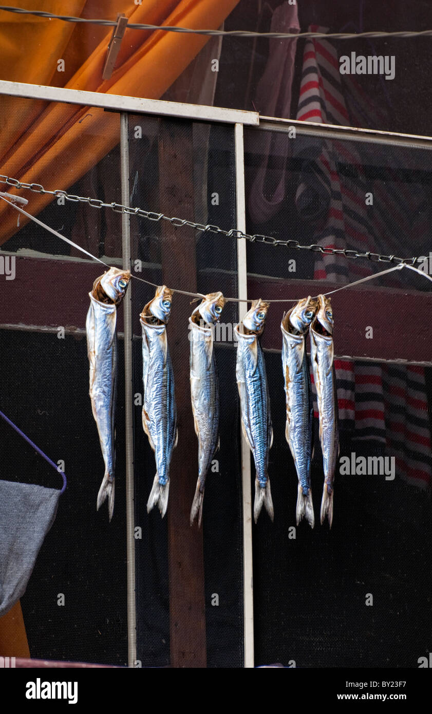 Fish hanging in window in Chinatown San Francisco California Stock ...