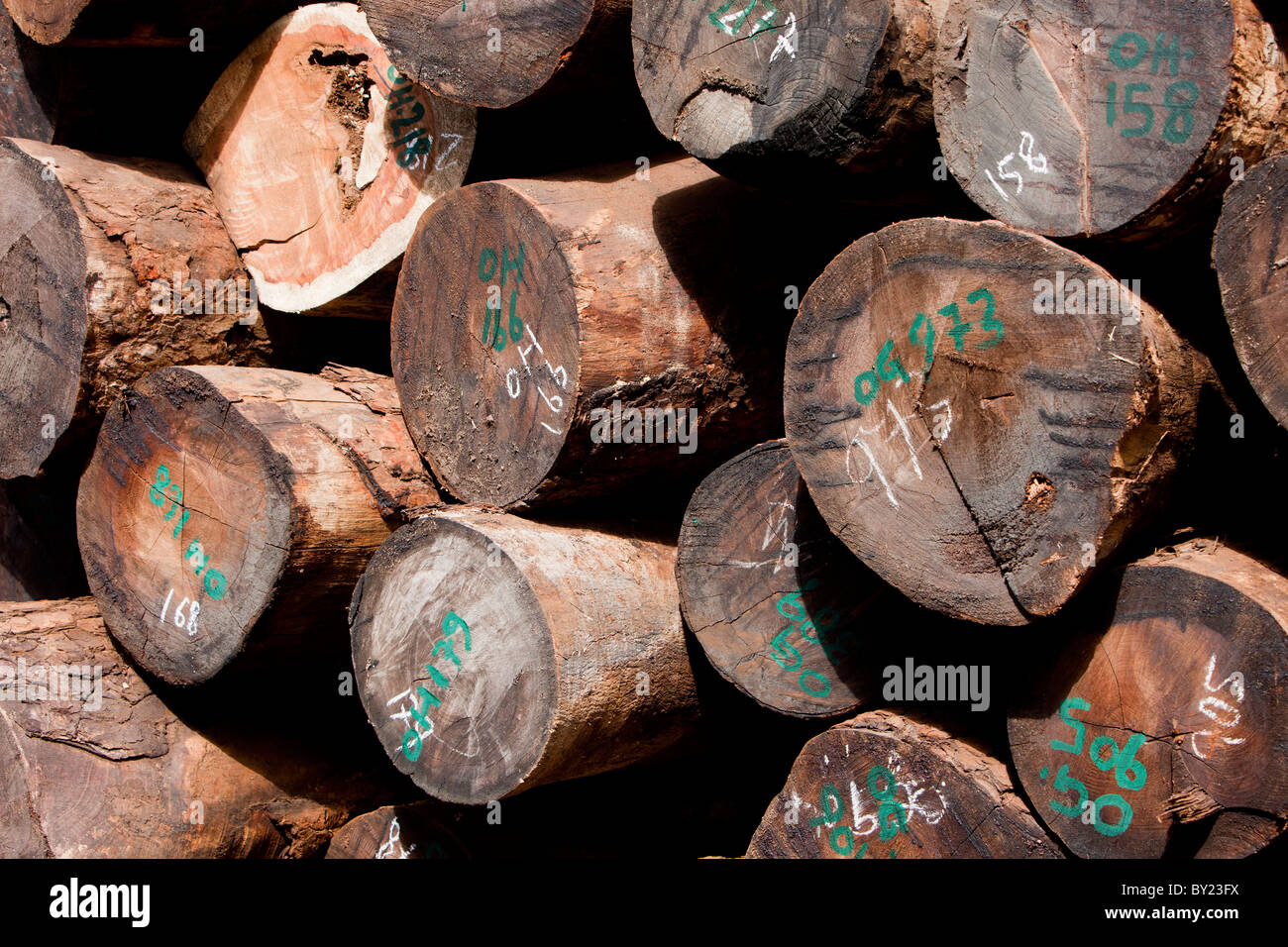 NAMPULA, MOZAMBIQUE, May 2010 : The timber depot of Green Timber, a ...