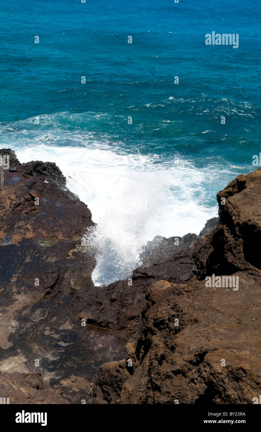 Reliable Hanola Blow Hole shooting water in South shore of Hawaii near ...