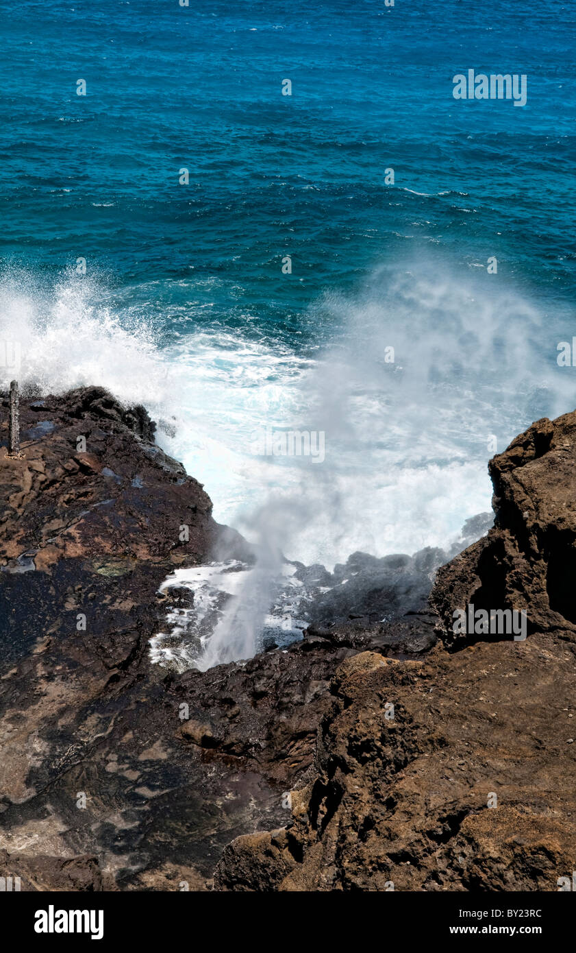 Reliable Hanola Blow Hole shooting water in South shore of Hawaii near ...