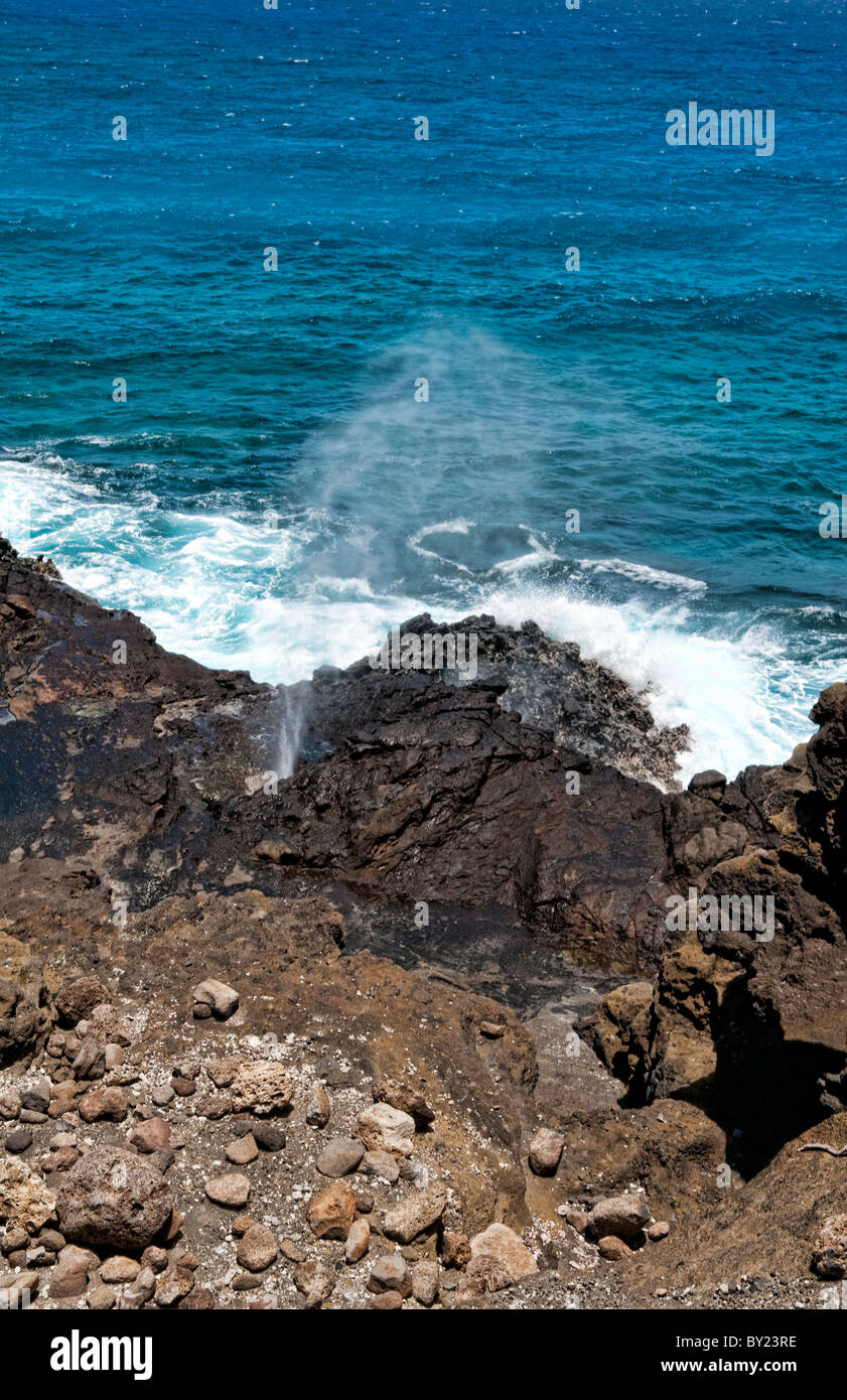 Reliable Hanola Blow Hole shooting water in South shore of Hawaii near ...