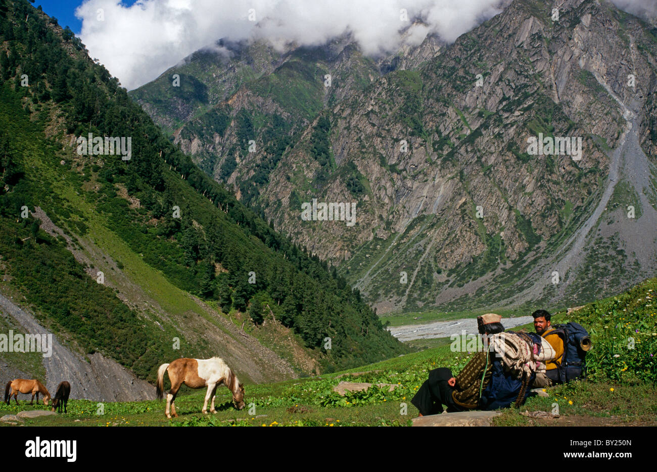 India, Himachal Pradesh, Chamba Valley. Gaddi (semi-nomadic shepherds ...