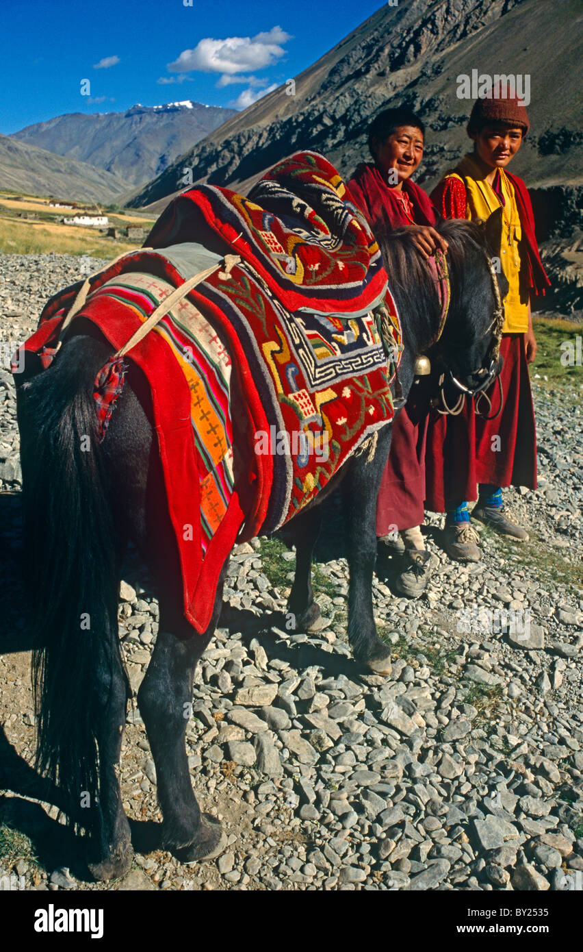 India, Jammu & Kashmir, Ladakh, Zanskar, Kargyak Valley. Buddhist nuns ...