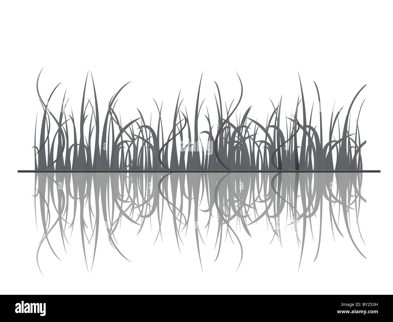 Glade with grass Cut Out Stock Images & Pictures - Alamy