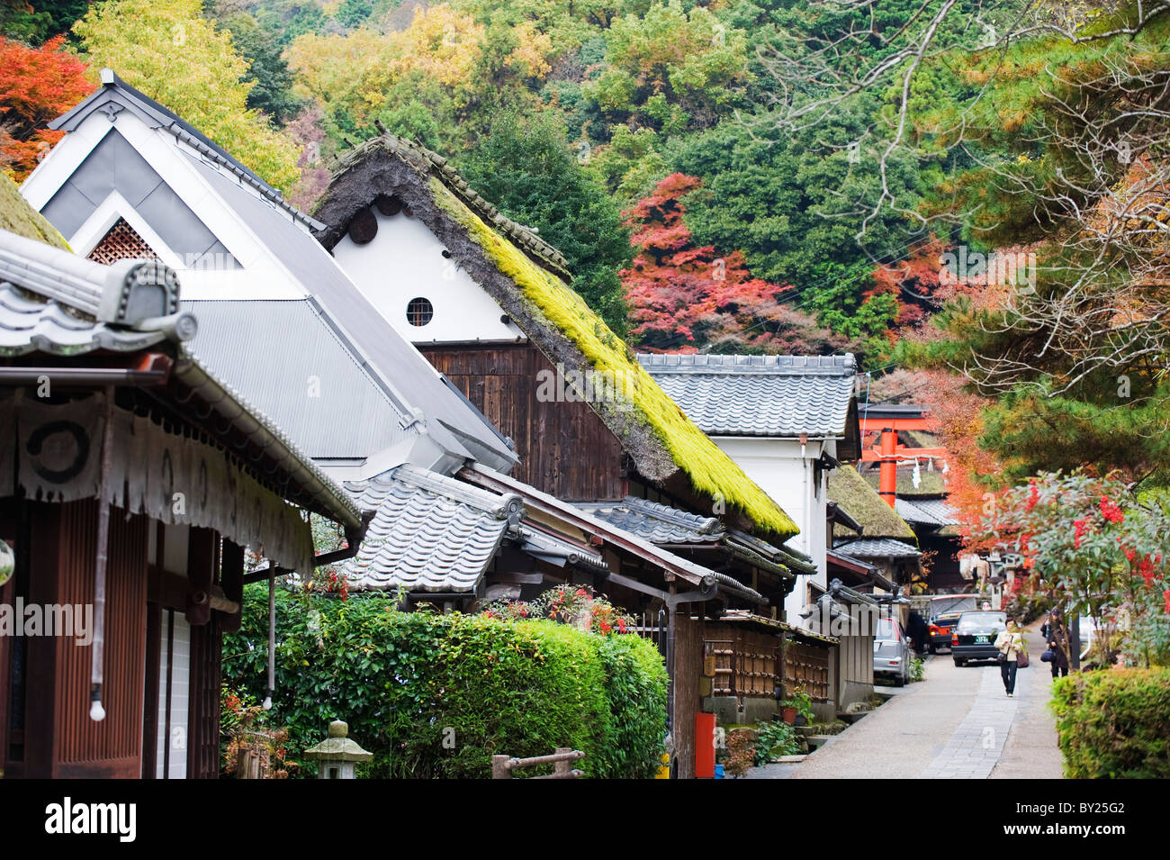 Thatched roof houses hi-res stock photography and images - Alamy