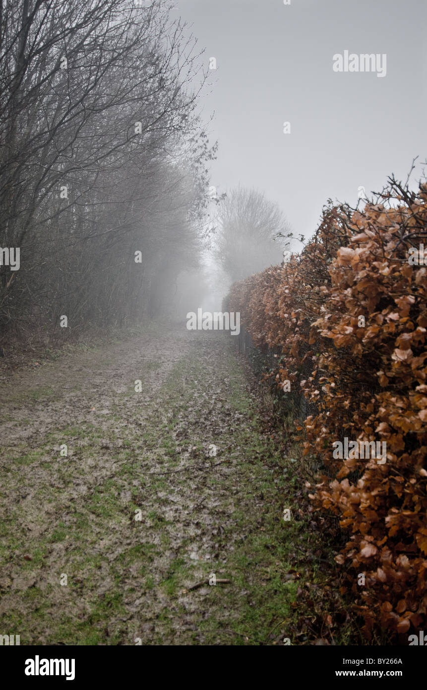 Foggy country path Stock Photo - Alamy