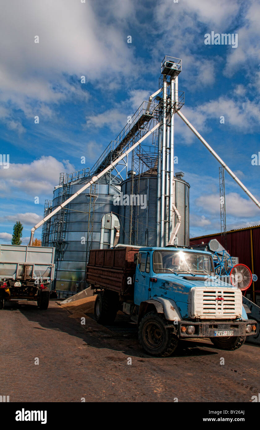 Lithuania improvements industry farming with colorful company of wheat ...