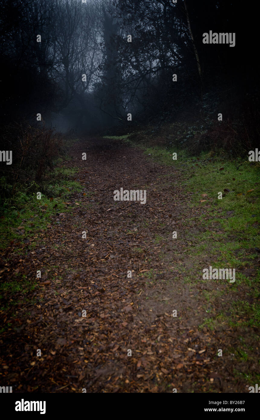 A country path in thick fog Stock Photo - Alamy