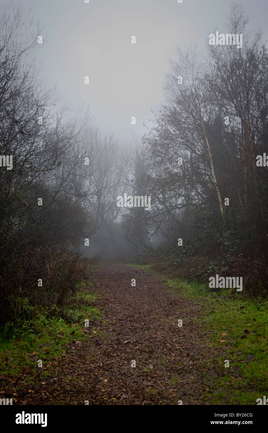 A country path in thick fog Stock Photo - Alamy