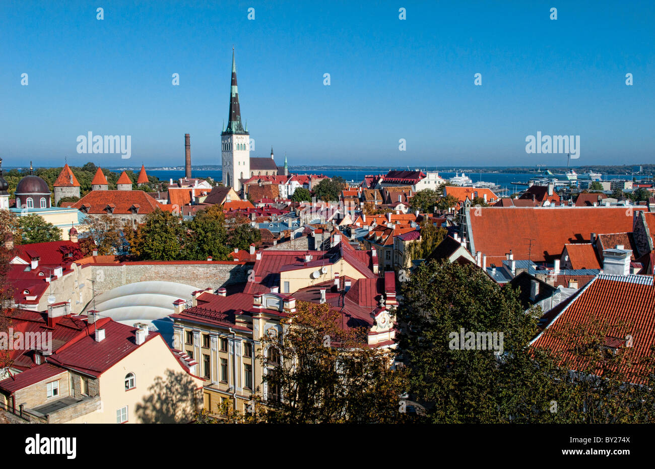 Tallinn Estonia Old Town above scenic aerial beautiful colorful tile ...