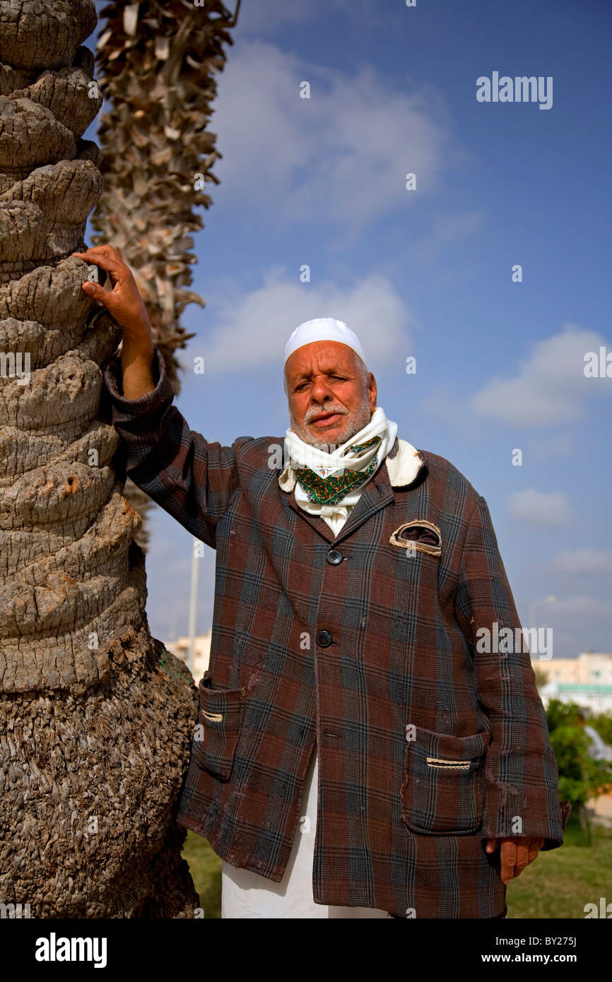 Bearded palm tree hi-res stock photography and images - Alamy