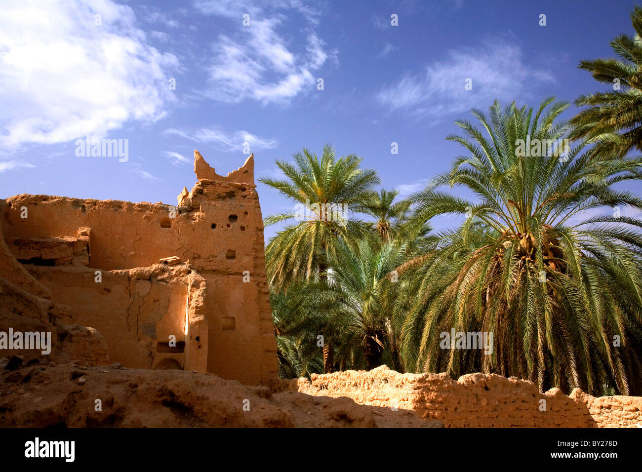 Ghadames, Libya; Ruins from the old town amidst palm trees Stock Photo ...