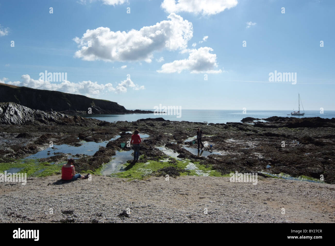 Family rockpooling in Cornwall Stock Photo - Alamy