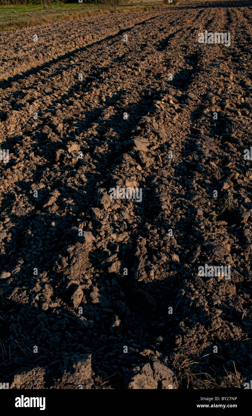 Rich dark soil dirt for farming in Poland farm country in Eastern ...